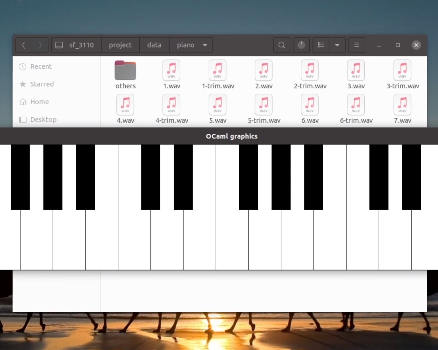PROJECTS | CAMELLIA GUAN