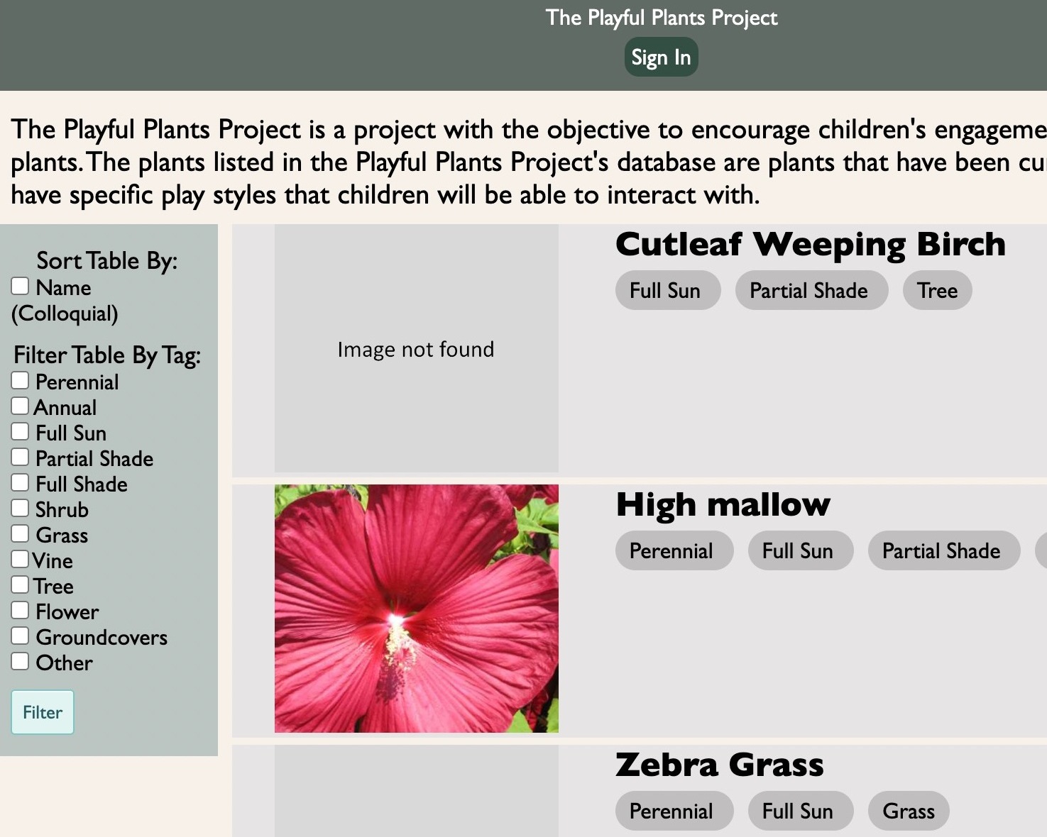 PROJECTS | CAMELLIA GUAN